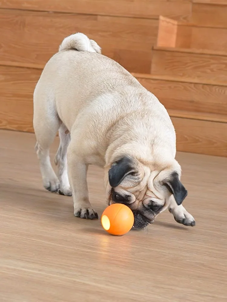 Cheerble Wicked Ball Smart Pet Toy Automatic Dog Ball Chew Toy Electric ...