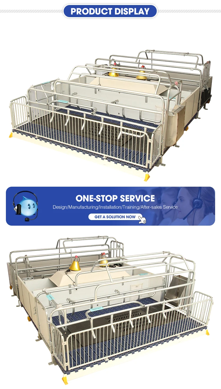 Farrowing Crates by Xinshuanglong - Durable Pig Breeding Cages