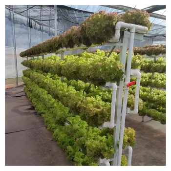 Hydroponic Grow Flood Table Mobile Vertical Grow Rack Hydroponics Kit Modular Plant Trays Grow ...