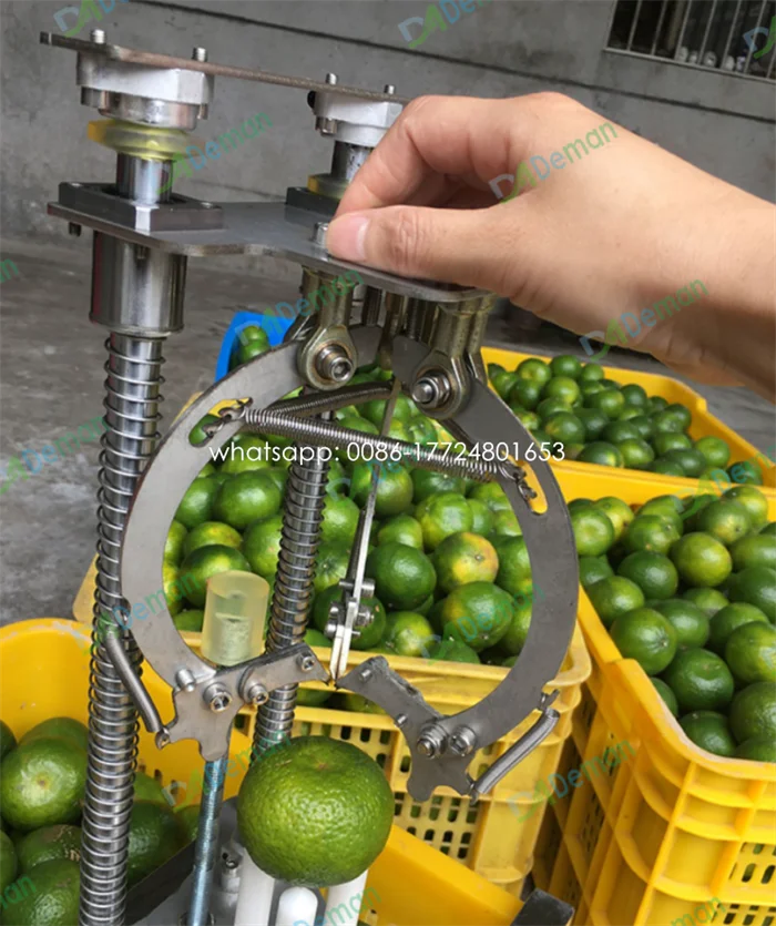 Manual Mandarin Orange Peeler - Efficient & Durable