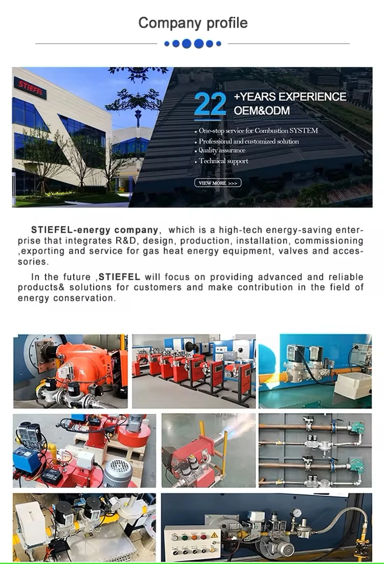 LCE Single - Stage Industrial Gas Burner Control Box for CNC ...