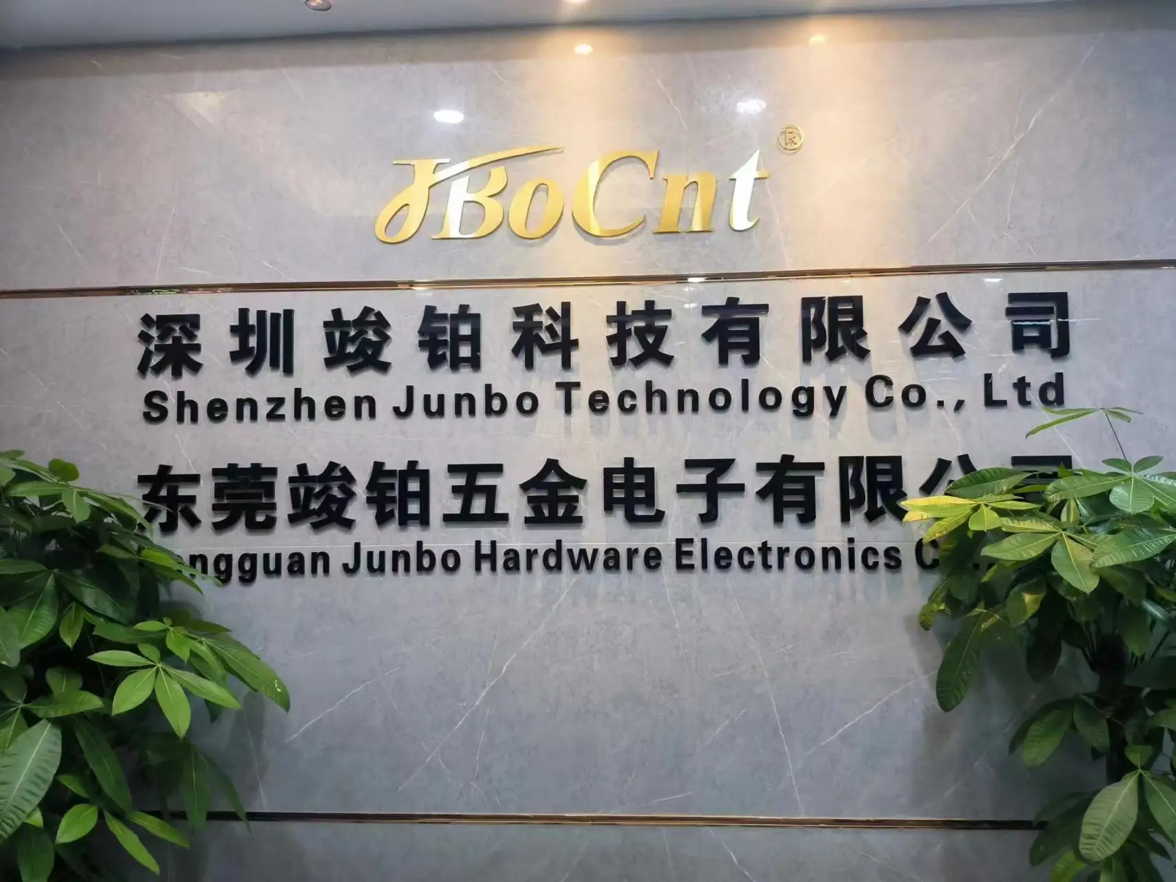 Company Overview - Shenzhen Junbo Technology Co., Ltd.