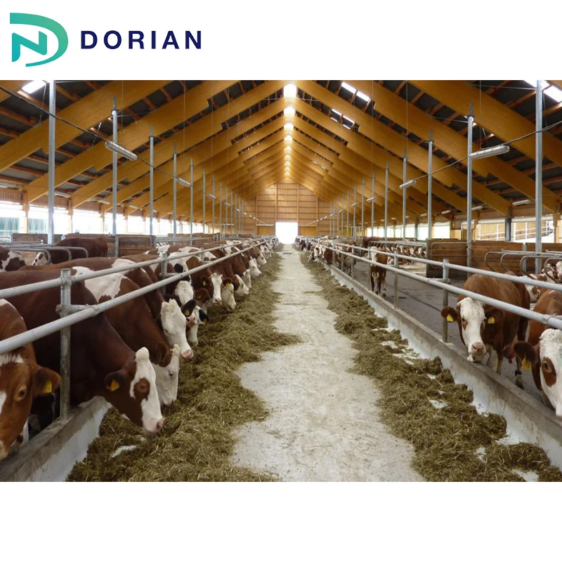 Steel Structures Cow Housing Design For Dairy Cow - Buy Cow Housing ...