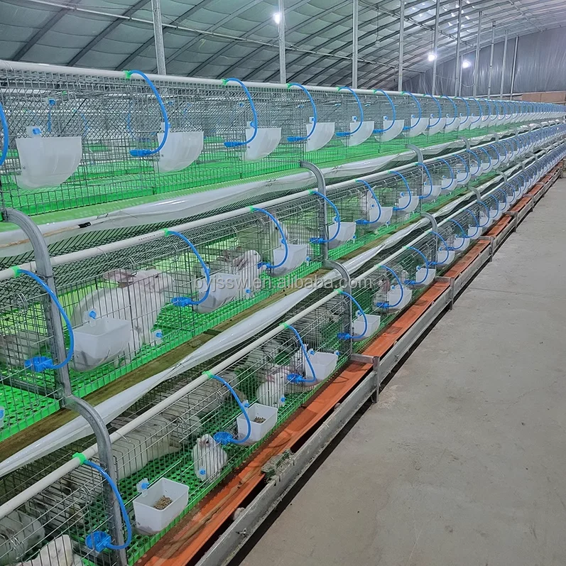 Two Storey Rabbit Cage - Vertical Type, A Type with 18 Cells, Easy ...