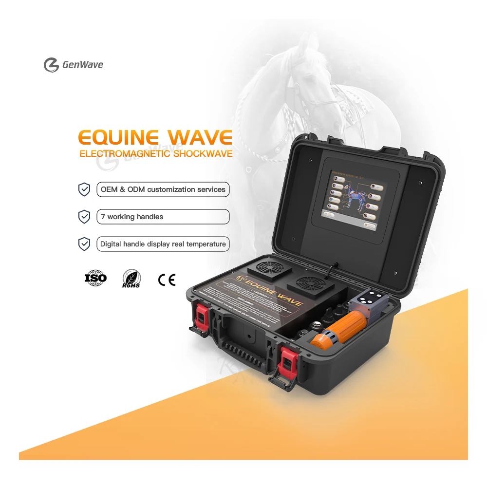 Horses Use Shock Wave Therapy Equine Machine for Pain Relief