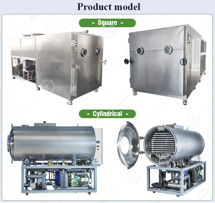 Freeze Freezing Drying Dried Dry Dryer Industrial Lyophilizer ...