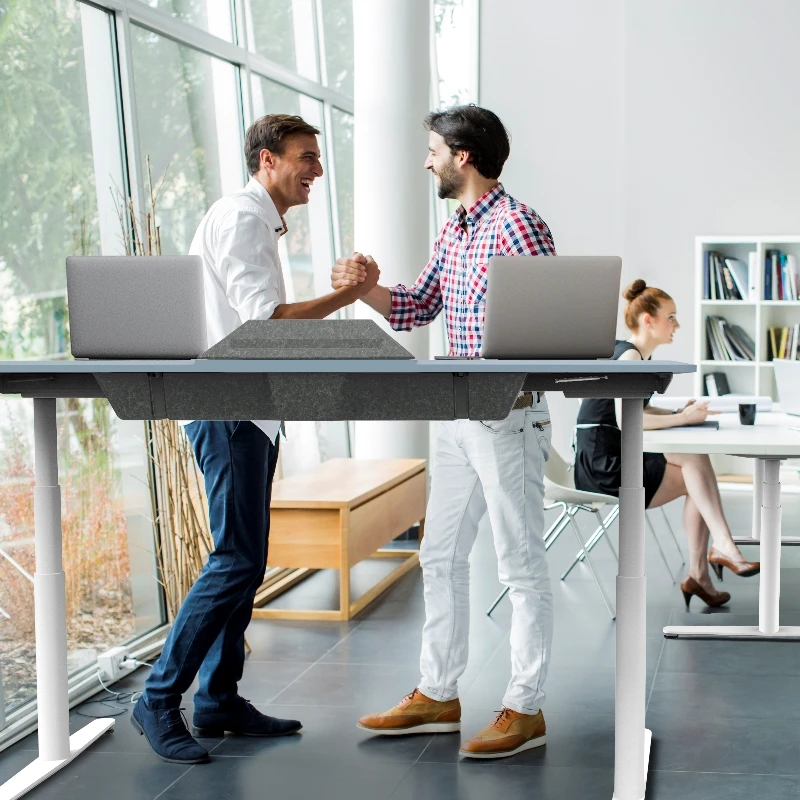 ZGO Dual Motor Ergonomic Steel Table Lift Leg Sit-to-Stand Standing ...