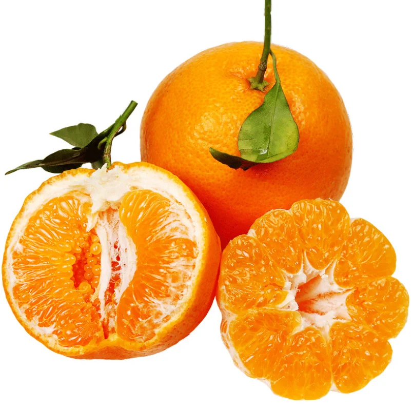 Wholesale Chinese Chunjian Orange - Organic Mandarin Fruit