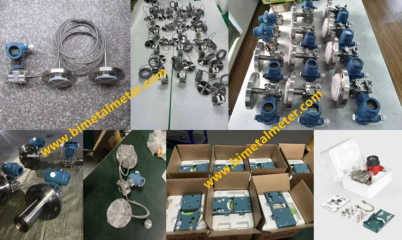 Capillary DP Differential Pressure Transmitter - Customized Support