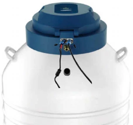 Professional Liquid Nitrogen Tank Cryotherapy From Liquid Nitrogen Tank ...