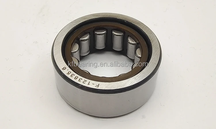 F 123835.6 Single Row Cylindrical Roller Bearing F 123835.6 F-123835.6 ...