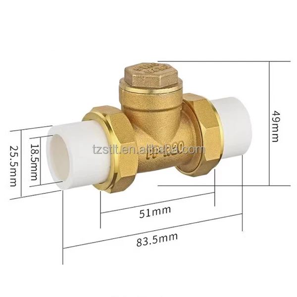 DN25 Non Return Valve with PPR Fittings Union Check Valve