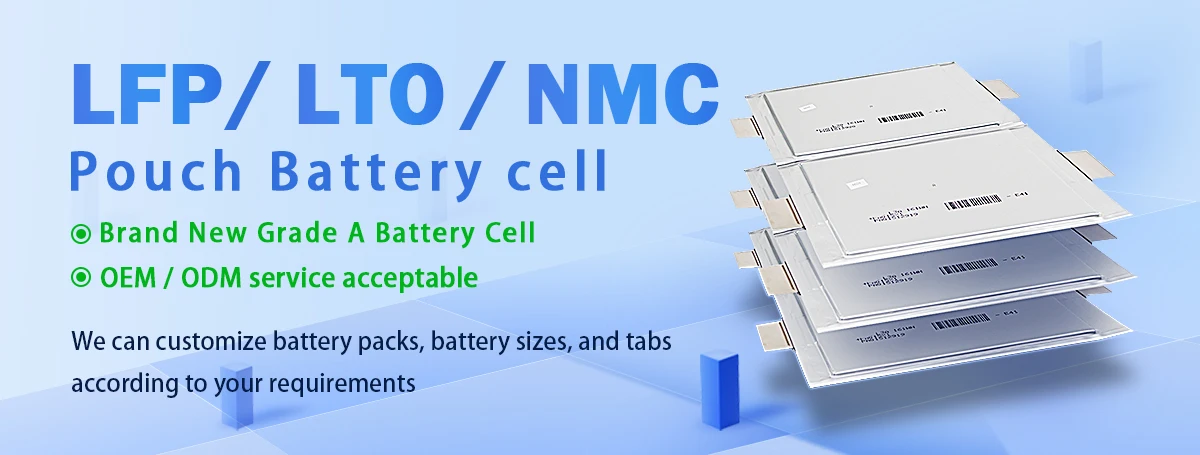 Customized 16c Discharger Rate Nmc Ncm Electric Scooter Battery