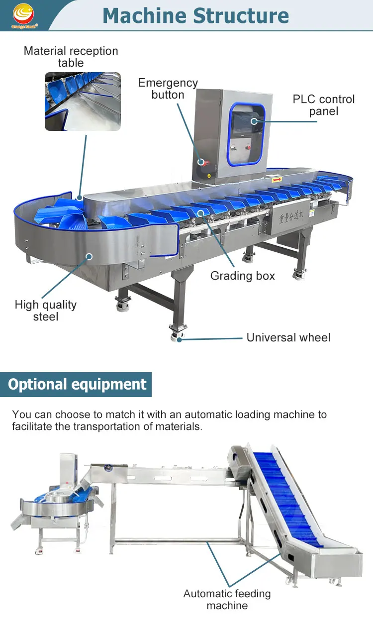 Orme Papaya Olive Live Crab Seafood Snail Auto Weight Sort Grade ...