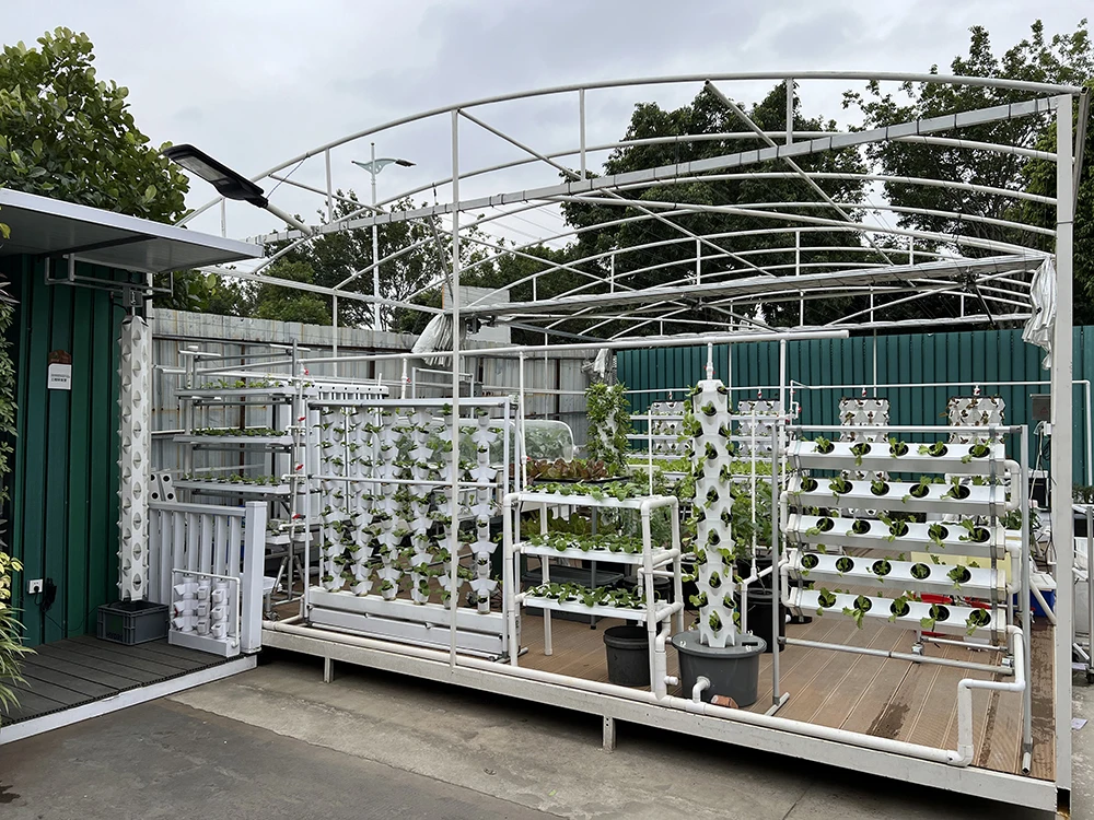 65L Hydroponic Vertical Farming System for Strawberry Greenhouse