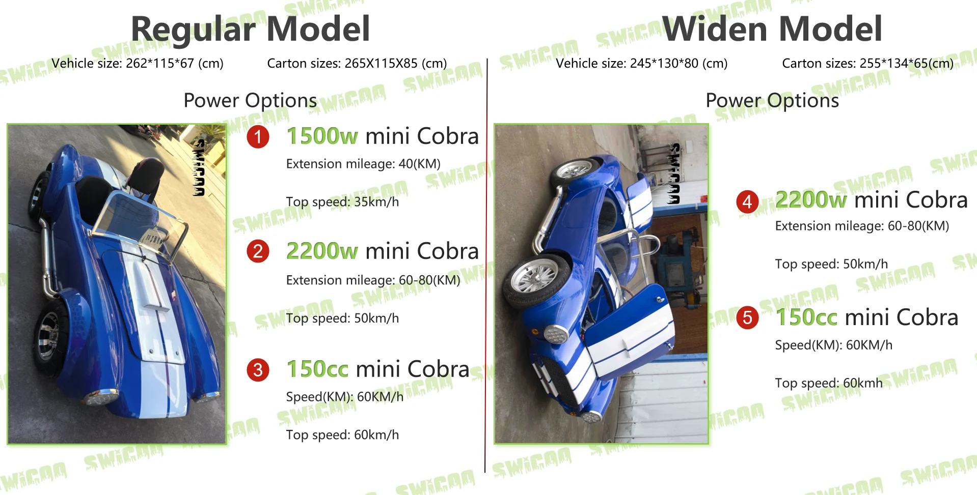 Customizable Mini Cobra Car Easy Drive Mini Car Electric Gasoline All ...