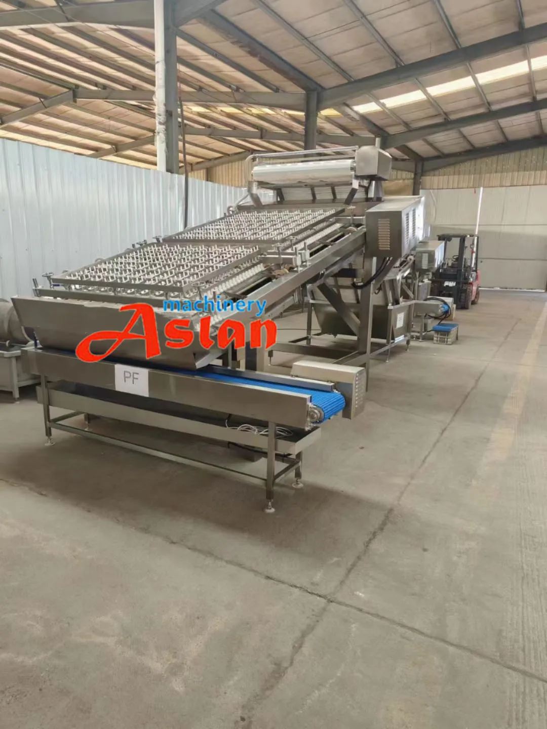 50kg Automatic Shrimp Shell Removing Machine - ASL-XQK-80