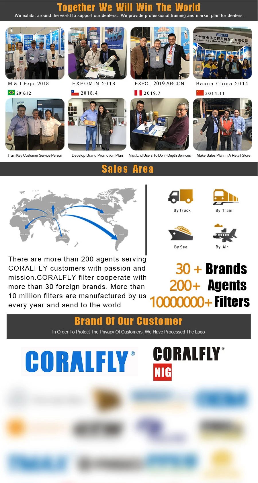 Diesel Engine Parts Fuel Filter Element 800150422 53c0945 Fs20019 ...