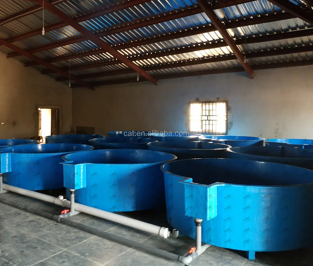 Nigeria Project Fresh Tilapia Fish Breeding Ras Filter System