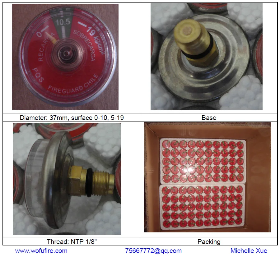 Fire Extinguisher Valve Assembly - General Parts Diagram