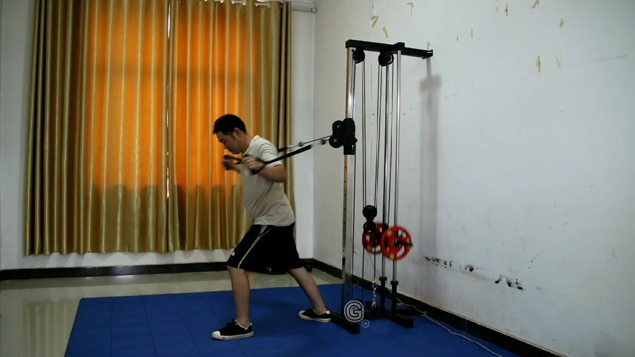 Home Wall Mount Cable Station With Adjustable Dual Pulley System Pull ...