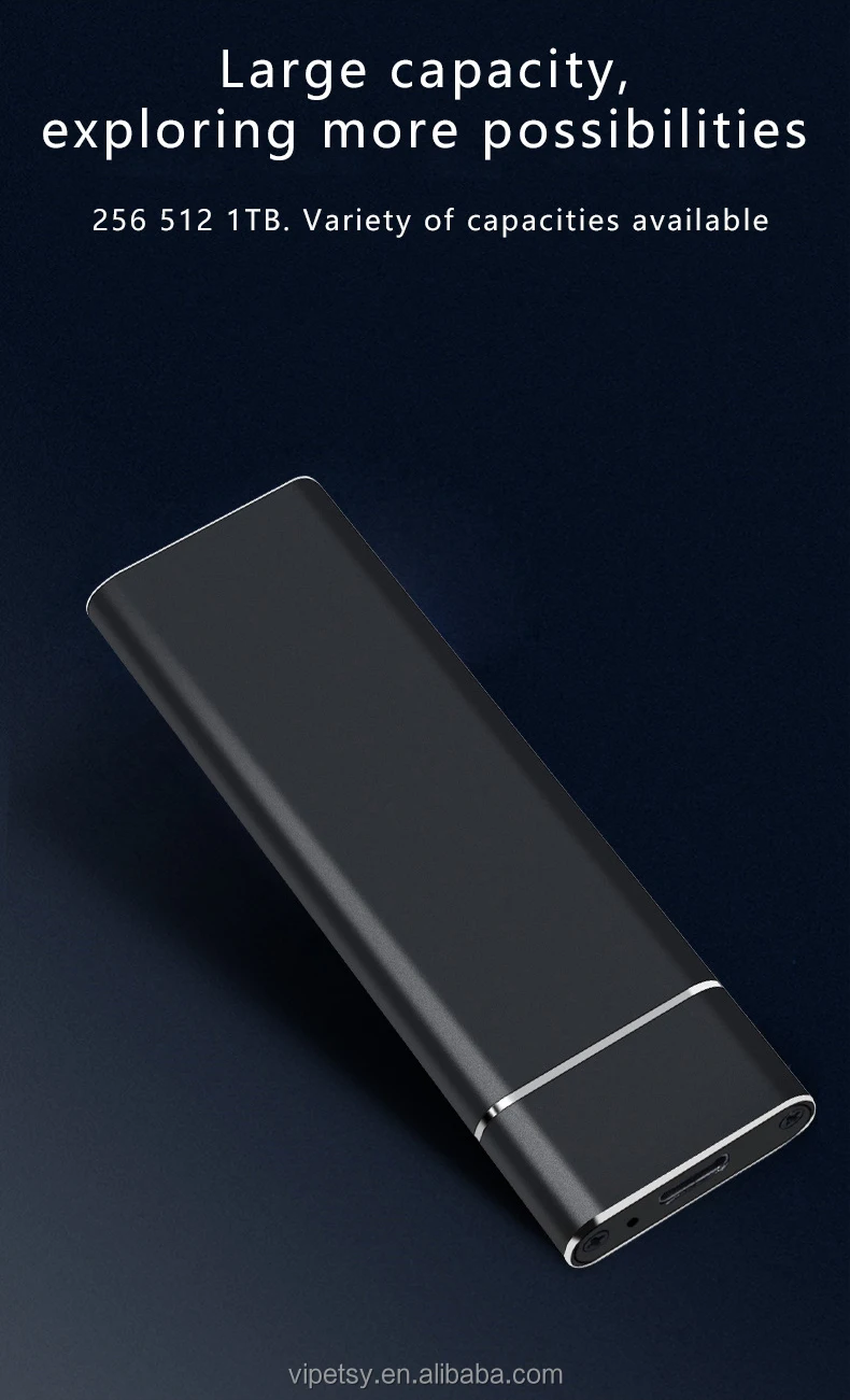Vipetsy Portable SSD Hard Disk - 1TB Metal Hard Drive