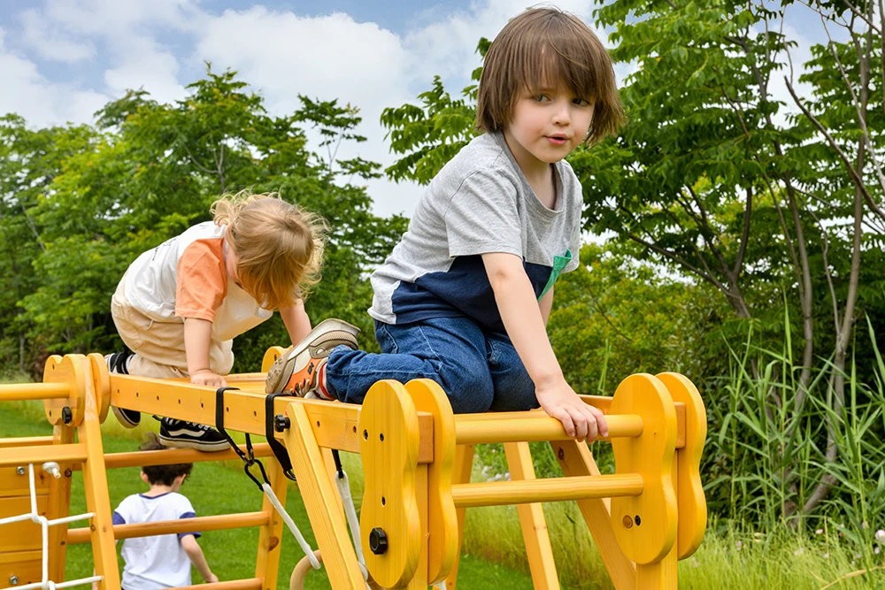 Outdoor Sports Equipment Wooden Climbing Frame Children Picker Triangle ...
