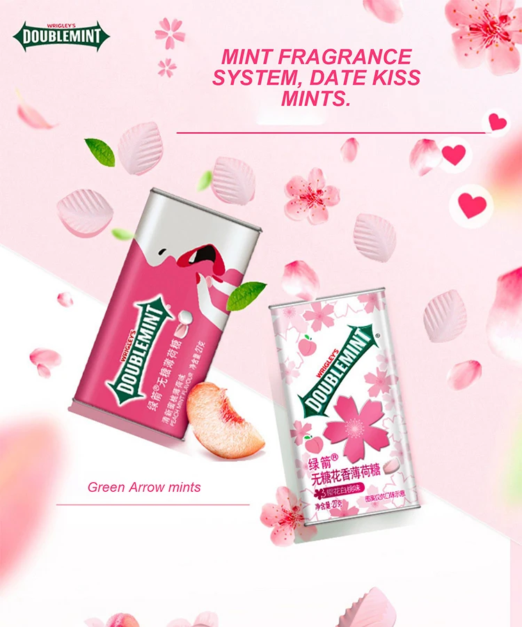 Chinese Chewing Gum Sugar Free Chewing Gum 27g Floral Mints Mint ...