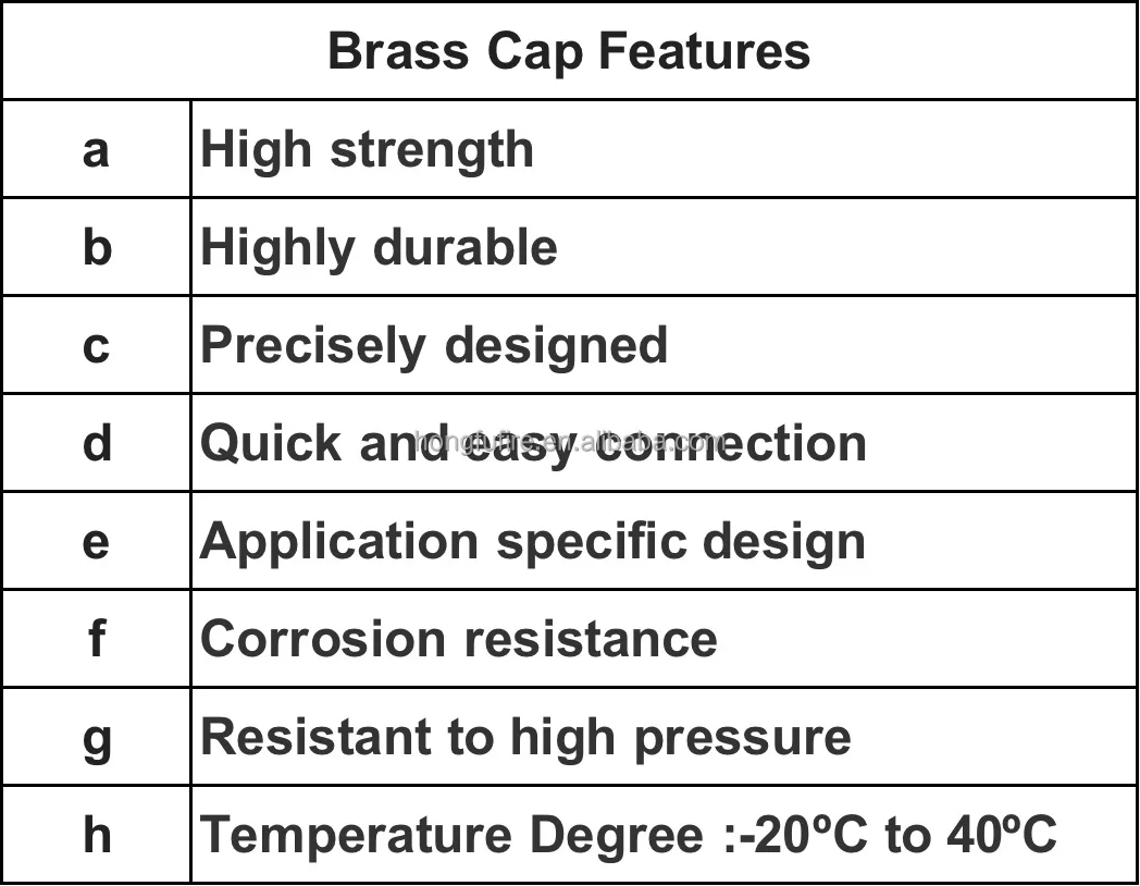 Instantaneous Type Brass Cap 2.5 Inch Brass Cap with BS336 Standard ...