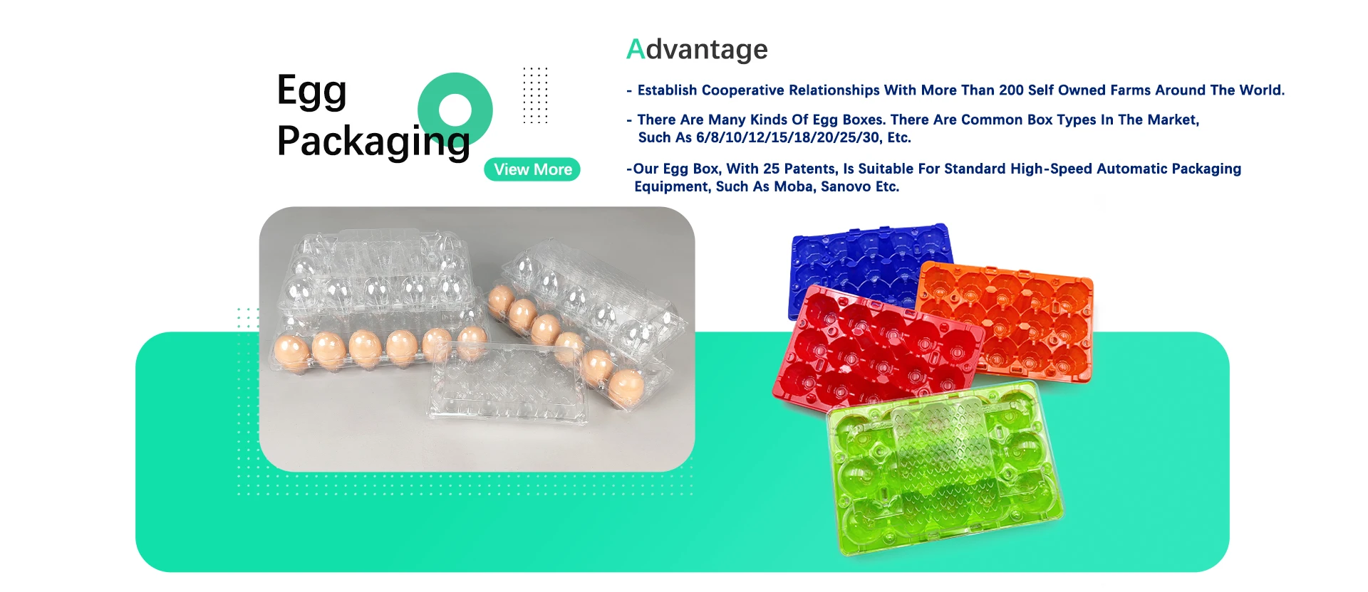 Company Overview - Zhongkai Packaging Technology (zhejiang) Co., Ltd.