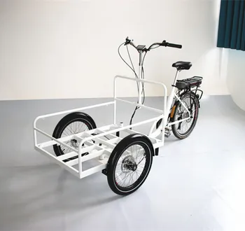 Front Loading 3 Wheels Cargo Tricycle For Family With Wooden Case For ...