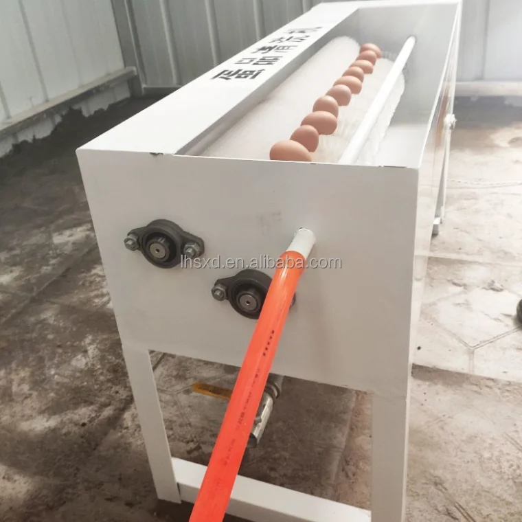 Efficient Egg Washing with the Automatic Egg Machine