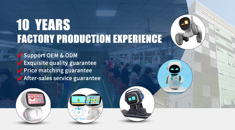 Robot Keyi Tech Petbot Loona - a Pet Robot with Chatgpt