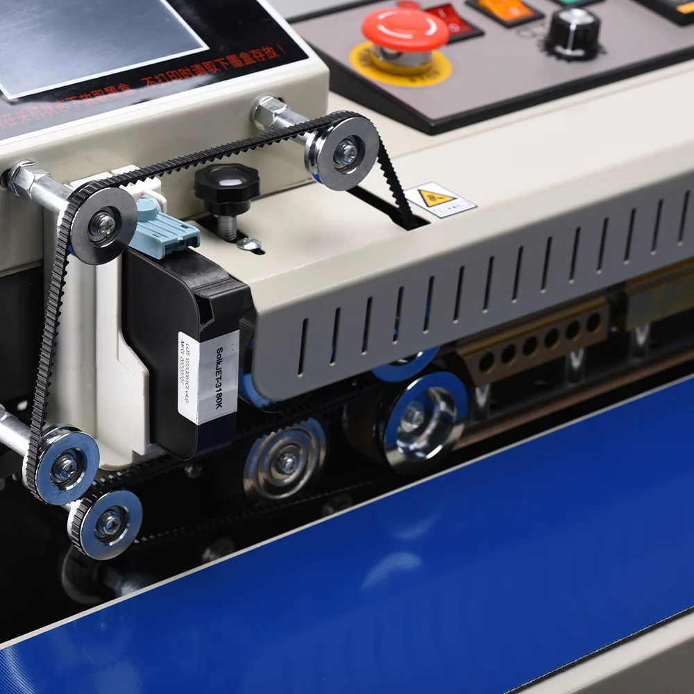 Youngsun Horizontal Automatic Inkjet Printing Print Coder Coding ...