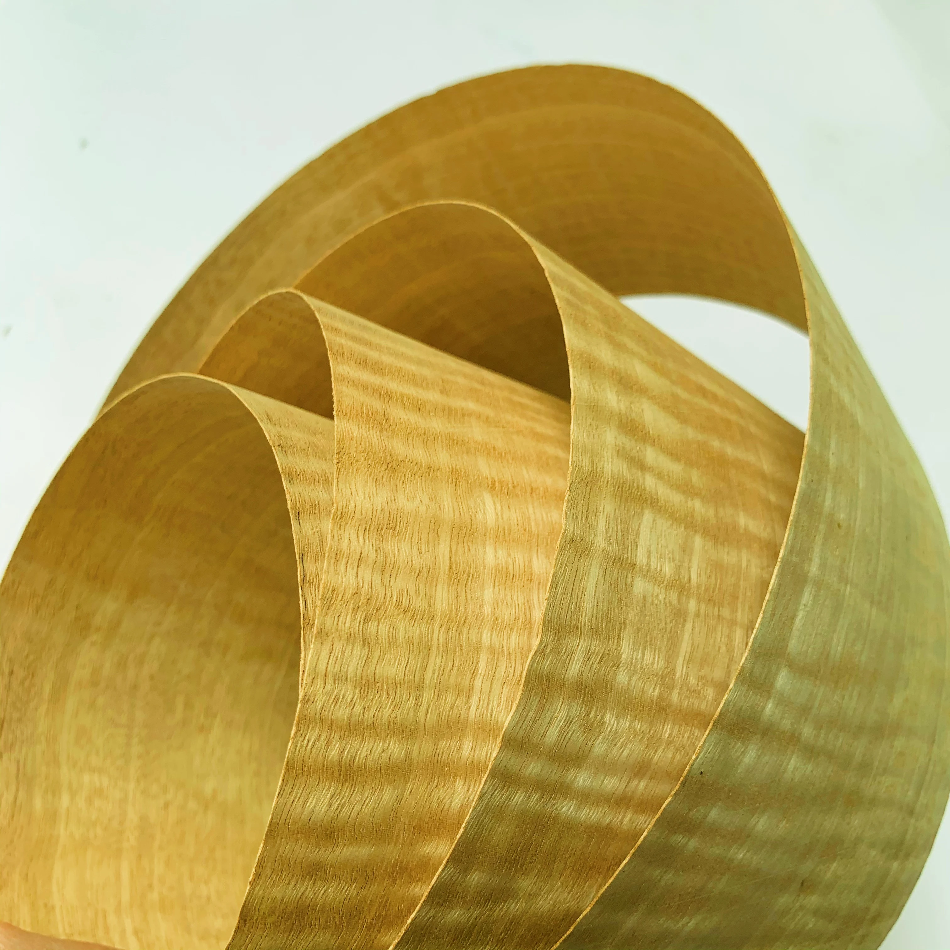High Gloss Natural Solid Wood Veneer Golden Burl Gall Wood Veneer For ...