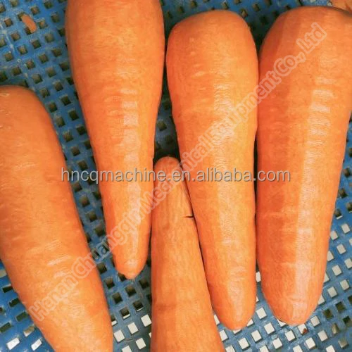 Burdock Daikon Skin Small Electric Carrot Peeling Washing Machine - Buy ...