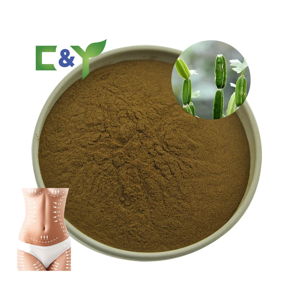 High Quality Cissus Quadrangularis Leaf Extract Cissus Powder Cissus ...