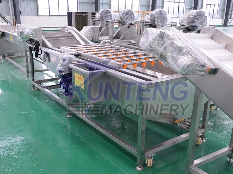 Industrial Electric Peeled Sweet Potato Apple Washing Machine And ...