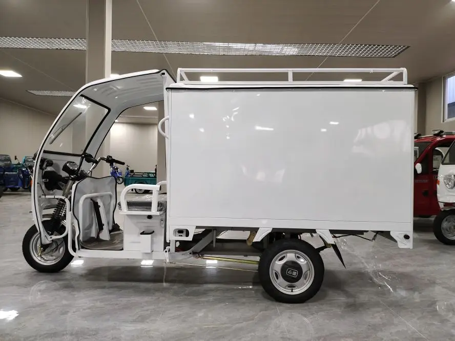 Express Vehicle Cargo Tricycle 800KG - Electric 3 Wheel