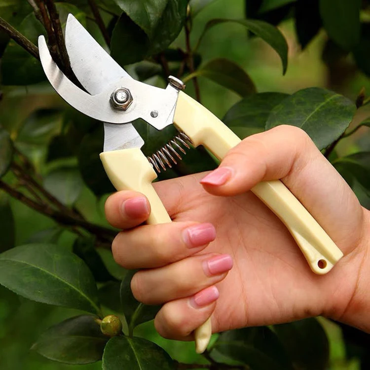 Mini Cutter Pruner Shears Pruning Shears Garden Scissors Pp Handle ...