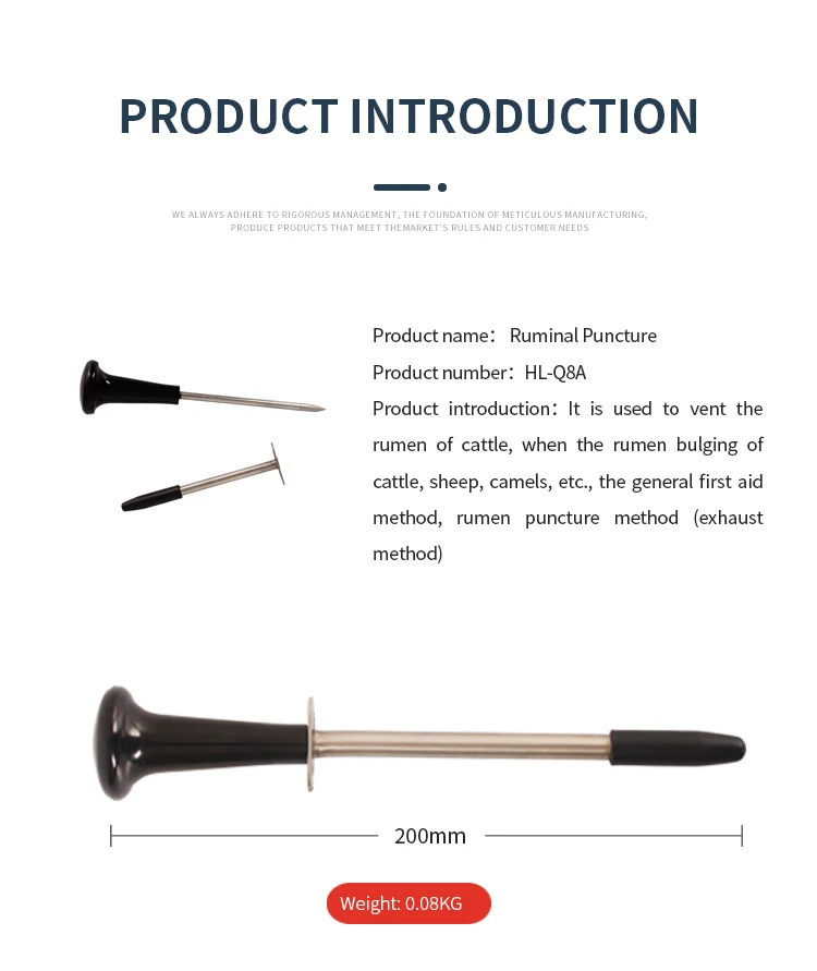 Animal Husbandry Tool Cow Nipple Puncture Needle for Milk Passing ...
