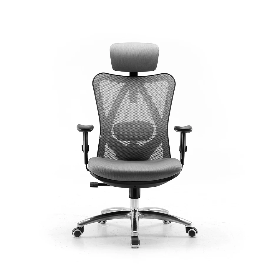 Guangzhou Sihoo Computer Ergonomic Luxury Modern Executive Back Support ...