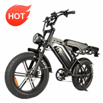 Company Overview - SMART RIDE TECHNOLOGY LIMITED