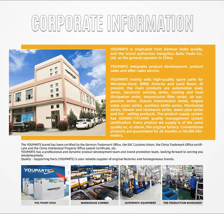 BMW 3 SERIES (F30, F35) Headlamp OE 63117339385 63117339386