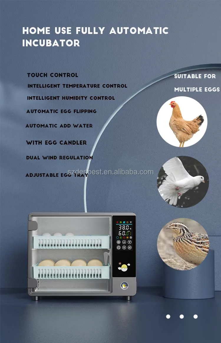 24 Eggs Full-Automatic Digital Duck & Chicken Incubator - OEM