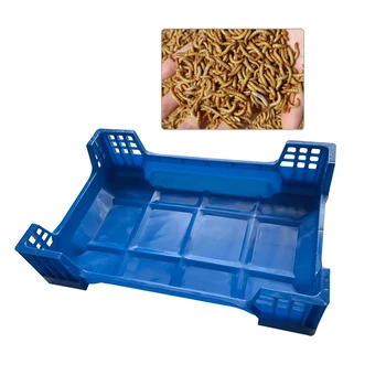 Black Soldier Fly Larvae Farming Insect Breeding Box Bsf Insect Rearing ...