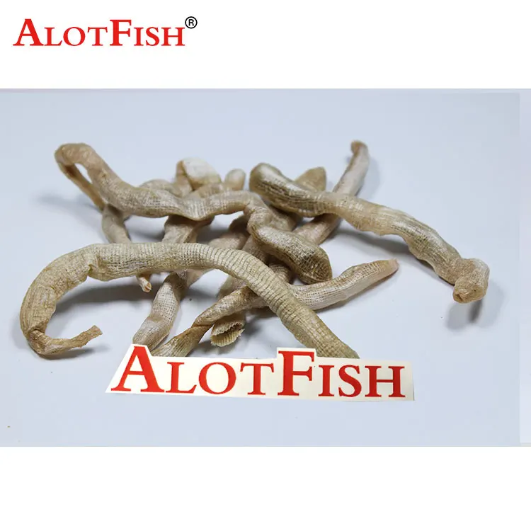 Dry Bibi Worm Fishing Lure Fish Bait Alotfish - Buy Fishing Lure,Fish ...