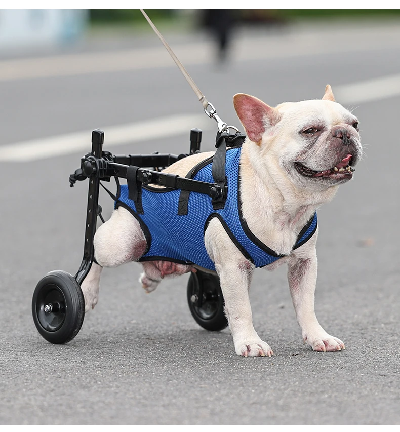 Doglemi Adjustable Pet Dog Wheelchair - Mobility & Training