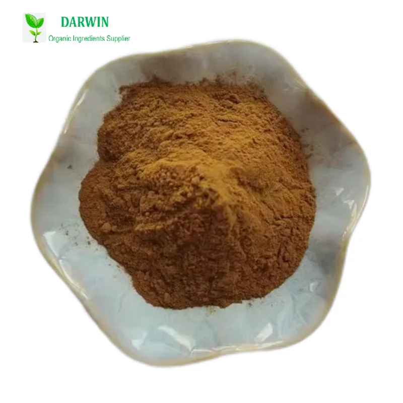 Bulk High Quality Goat Rue Extract 10:1 Galega Officinalis Extract ...