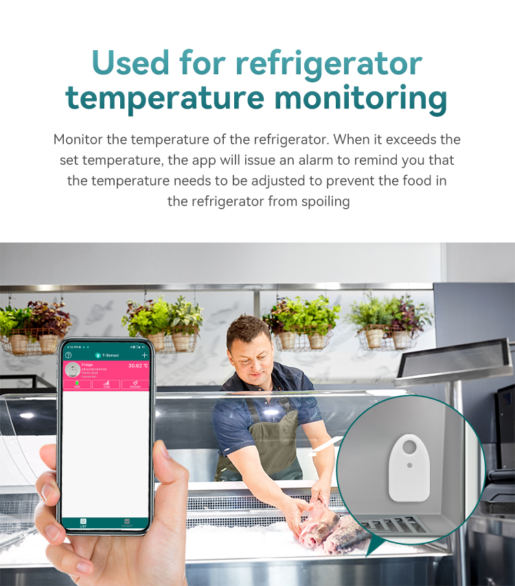 Iot Wireless Waterproof Ibeacon Temperature & Humidity Sensor Ble Beacon - Buy Temperature ...